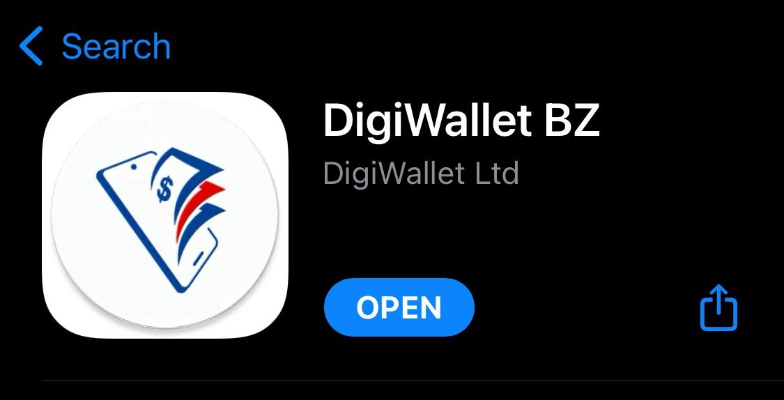 PIN Reset – DigiWallet Ltd