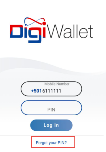 PIN Reset – DigiWallet Ltd